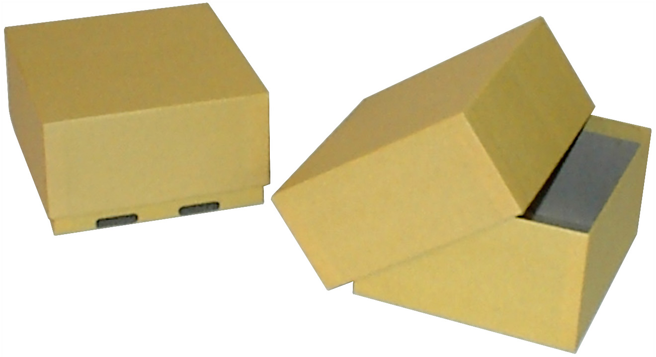 BioPharm World Carboard Freezer box | BioPharm World