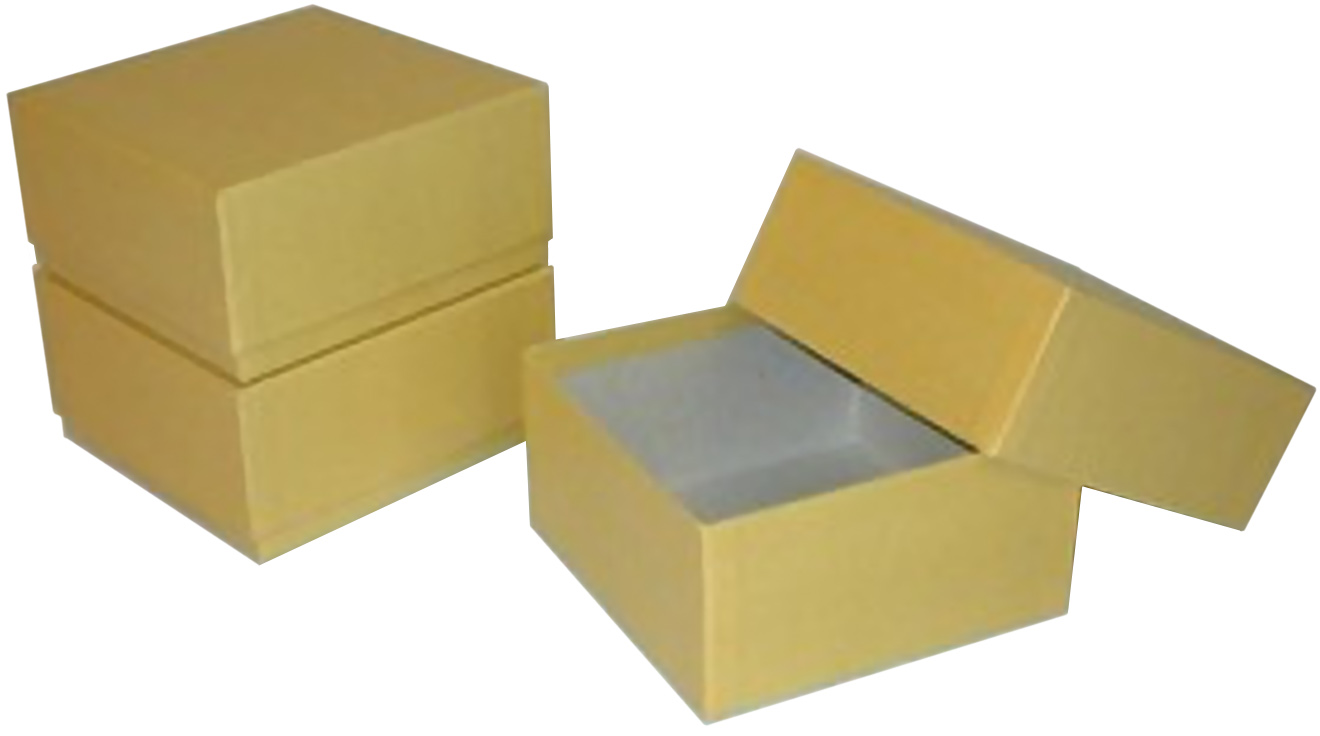 BioPharm World Oversized Cardboard Freezer Box | BioPharm World